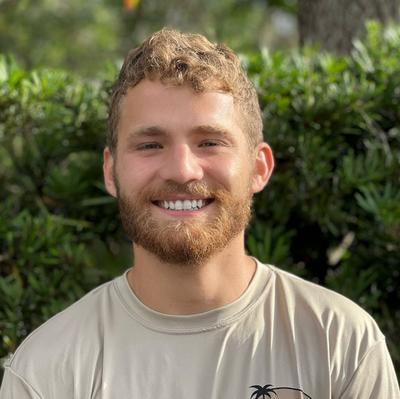 About Kitchen Cabinets & More